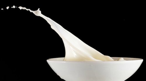 Milk as Fertilizer - Garden Myths