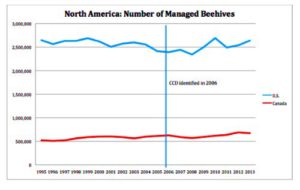 Are Honey Bees Dying - Are We Losing Our Food Supply?