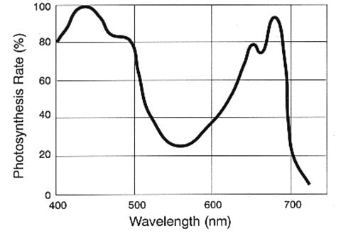 LED Grow Lights - Getting the Right Color Spectrum