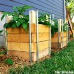 Potato Towers - Do They Really Produce High Yields?