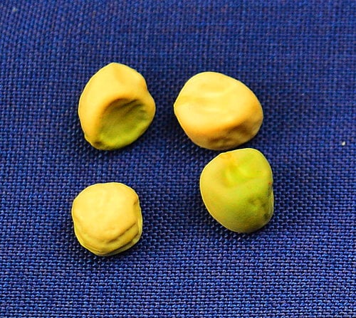 Soaking Peas Before Planting - Does It Improve Germination?