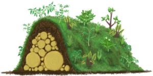 Hugelkultur Gardening Method & Hugelkultur Raised Beds