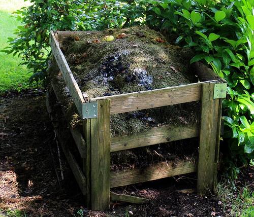 27 Composting Myths That Will Save You Time and Money - Garden Myths