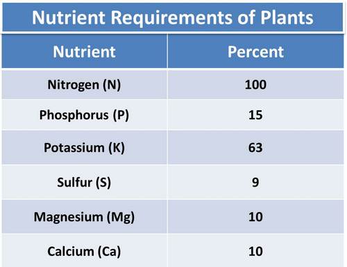 What is the Best NPK Ratio for Growing Plants? - Garden Myths