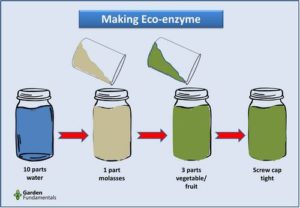 Bokashi vs Ensilaging vs Eco-enzymes - Are They All the Same Process?