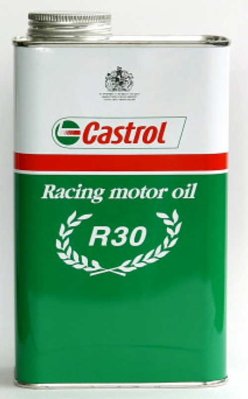 Are Castor Bean Plants Poisonous - Should You Grow Them?