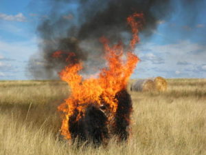 Myths About Straw And Hay In The Garden