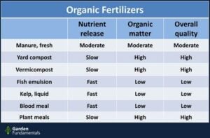 Selecting the Best Organic Fertilizer