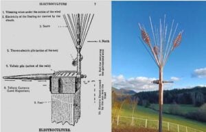Will Electroculture Grow Better Plants?