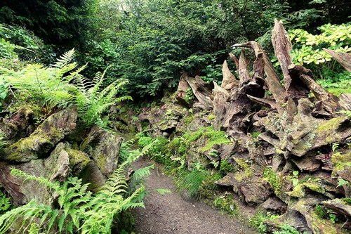 The Stumpery Garden - A Perfect Place for Ferns and Woodland Gems ...