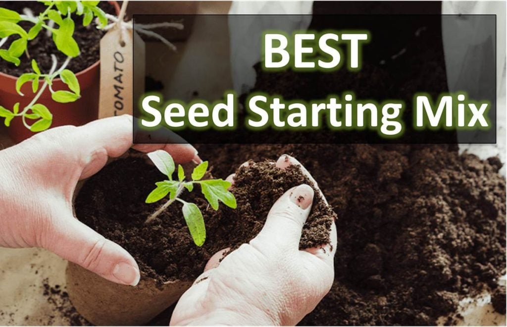 Best Seed Starting Mix, Including DIY