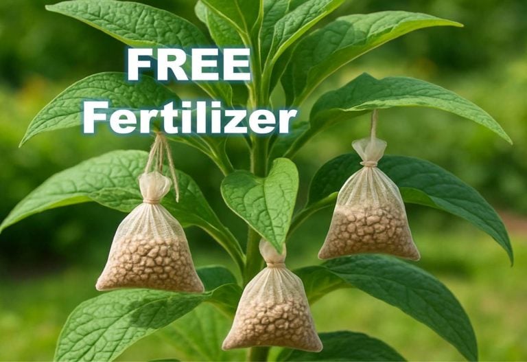 New Science on Dynamic Accumulators and Weed Tea